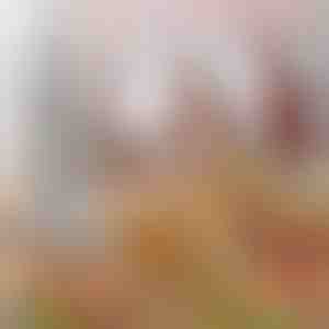 Frilla.bg – Страница 22